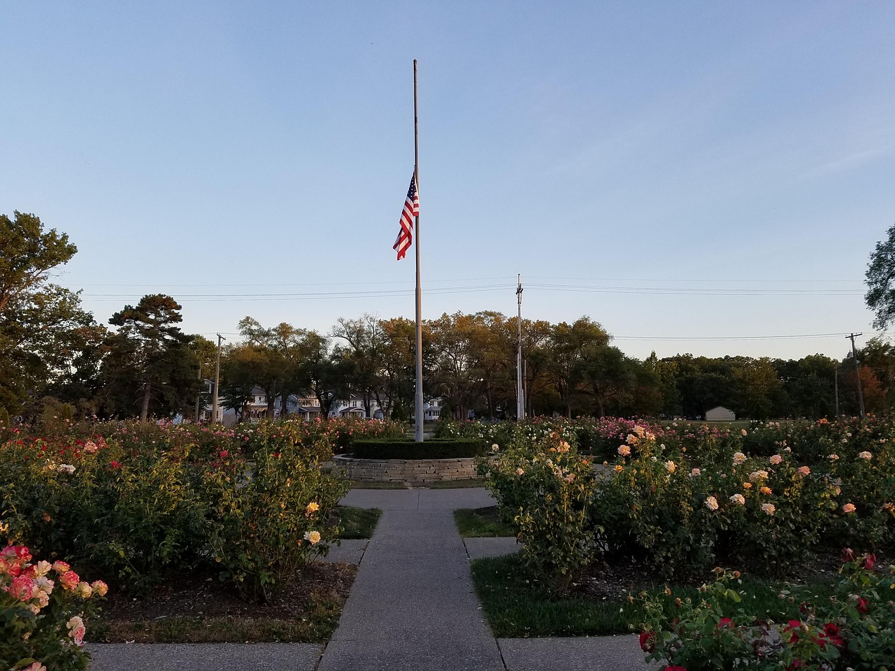 Bendera Amerika Mawar Kebun - Foto gratis di Pixabay - Pixabay