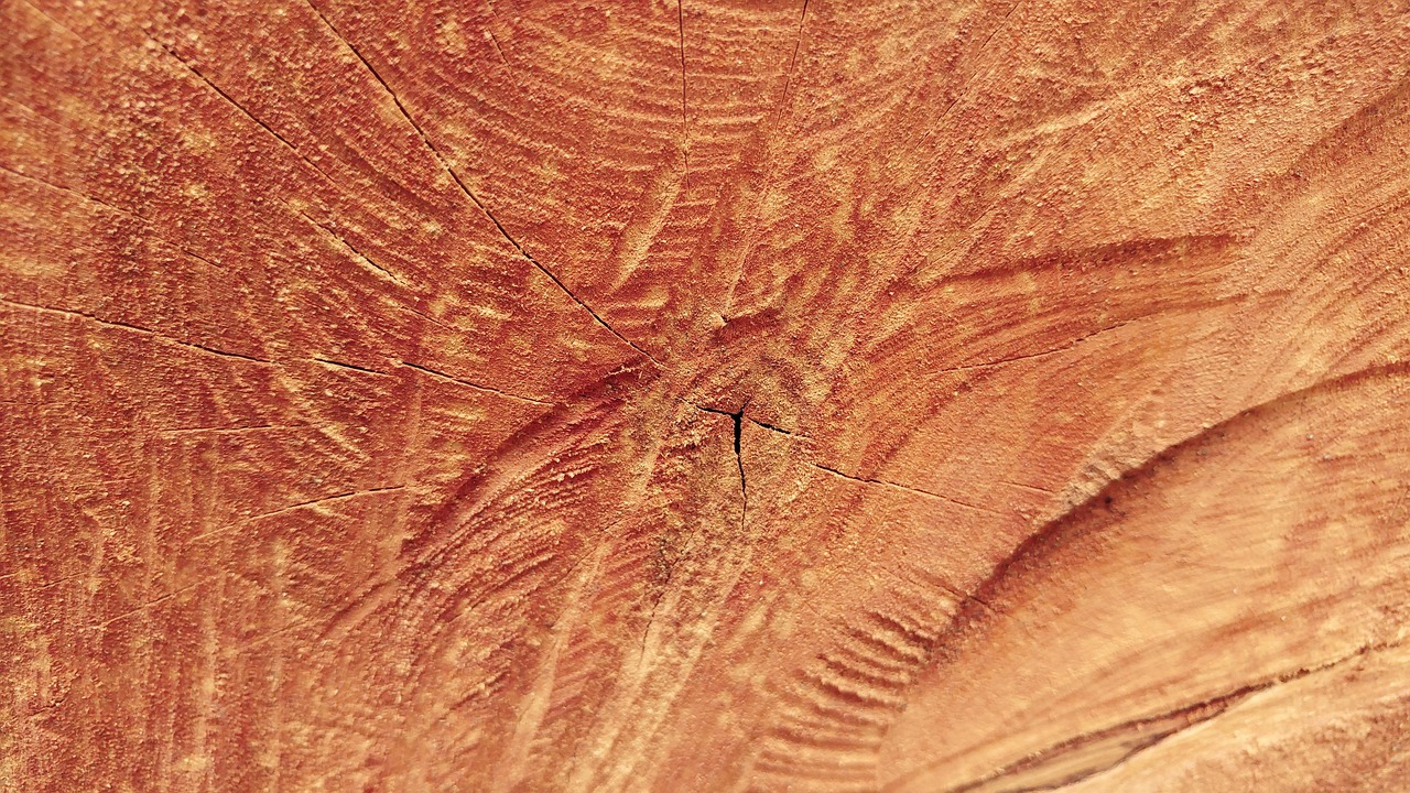 Sawn Wood Log Free Photo On Pixabay Pixabay sawn-wood-log-free-photo-on-pixabay-pixabay