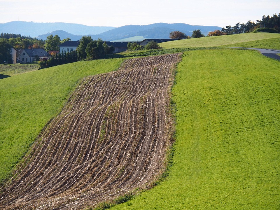 Natur Wiese Niederösterreich - Kostenloses Foto auf Pixabay