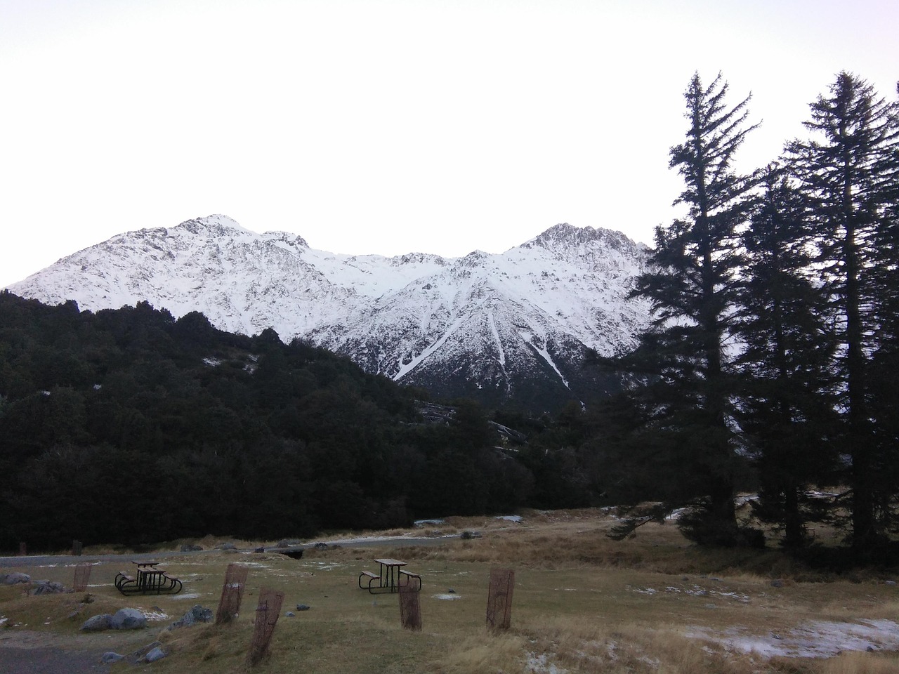 Snow Mountain Tree Mount Cook New - Free photo on Pixabay - Pixabay