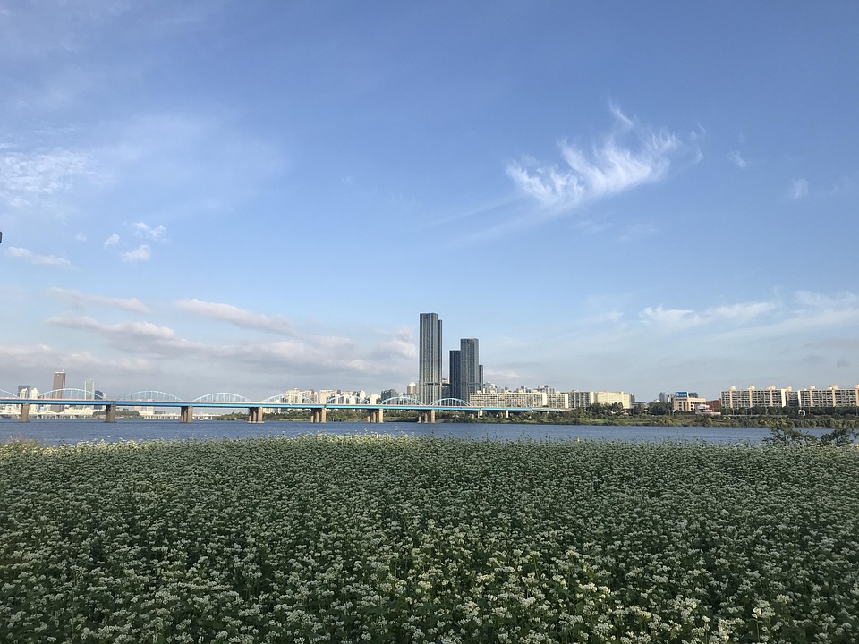 Korea Seoul Han River Autumn - Free photo on Pixabay - Pixabay