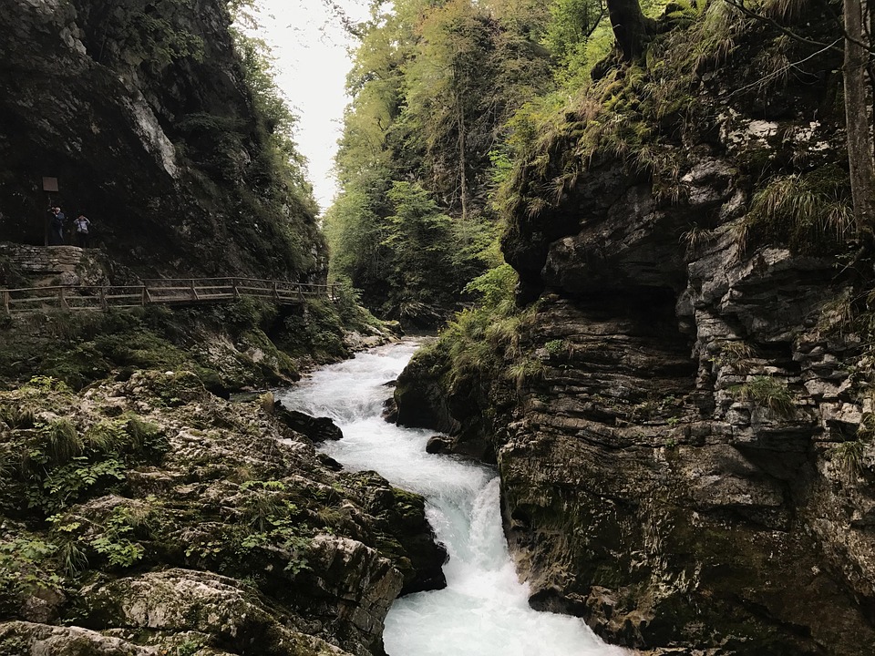 Desangrado Parque Eslovenia - Foto gratis en Pixabay - Pixabay