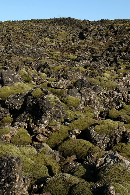 Champ De Lave L'Islande Paysage - Photo gratuite sur Pixabay - Pixabay