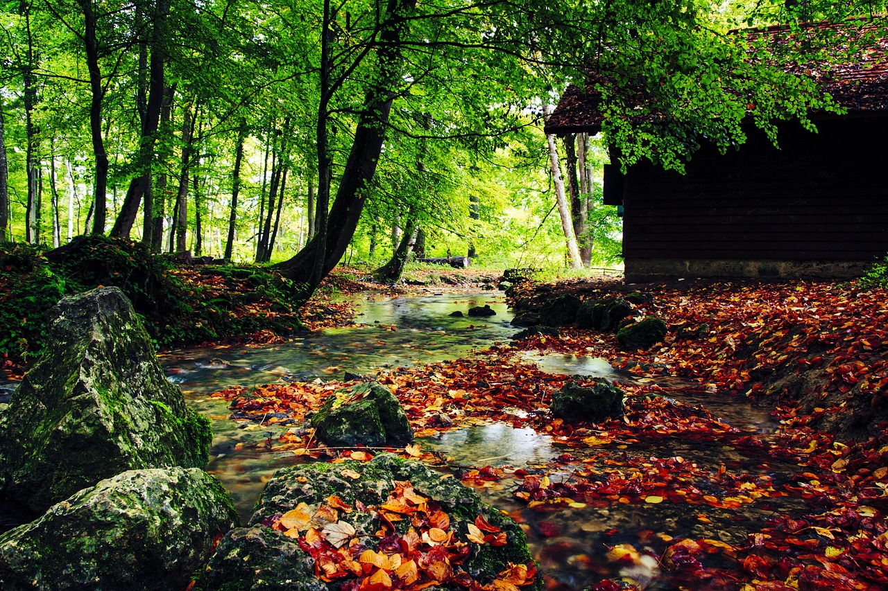 Stream Fall Autumn Leaves - Free photo on Pixabay