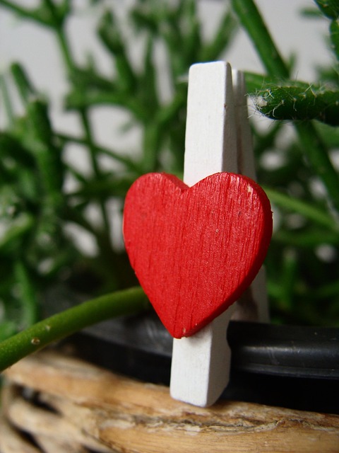 Heart Love Couple - Free photo on Pixabay