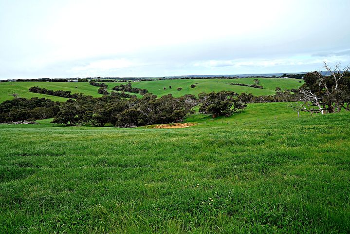 90+ Free Rolling Hills & Landscape Images - Pixabay