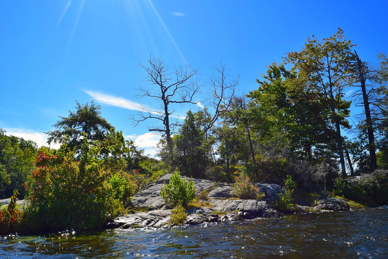 Lake Trees Sunshine - Free photo on Pixabay