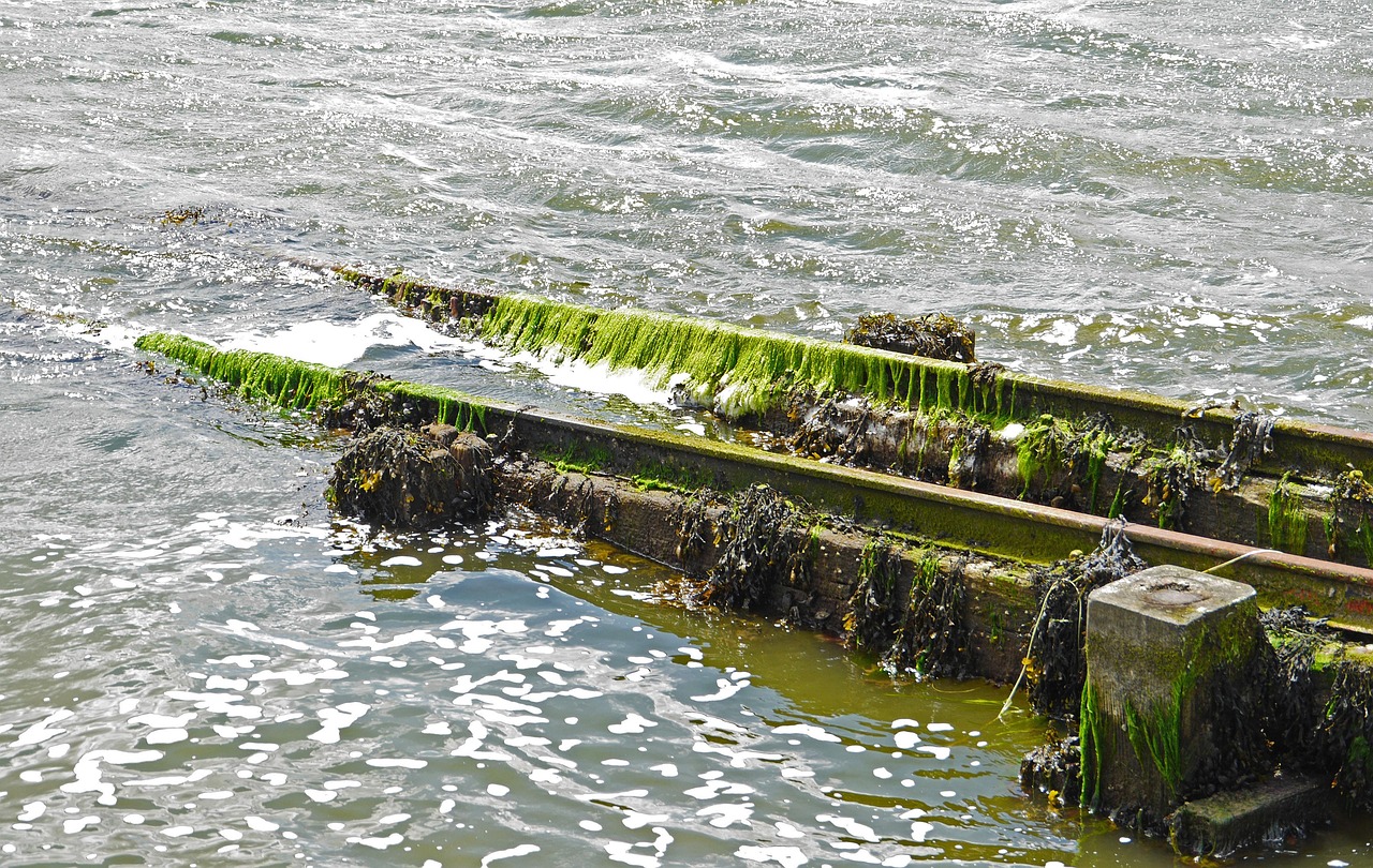 Old Slipway Unused Seaweed - Free photo on Pixabay - Pixabay