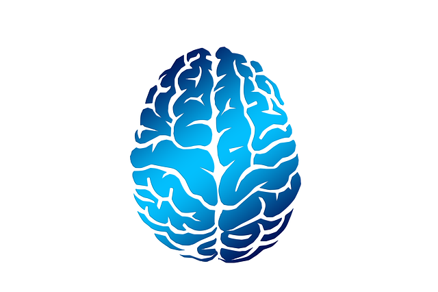 6,000+ Free Brain Anatomy & Brain Images - Pixabay