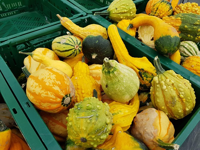 Citrouille Legumes Tombe - Photo gratuite sur Pixabay - Pixabay