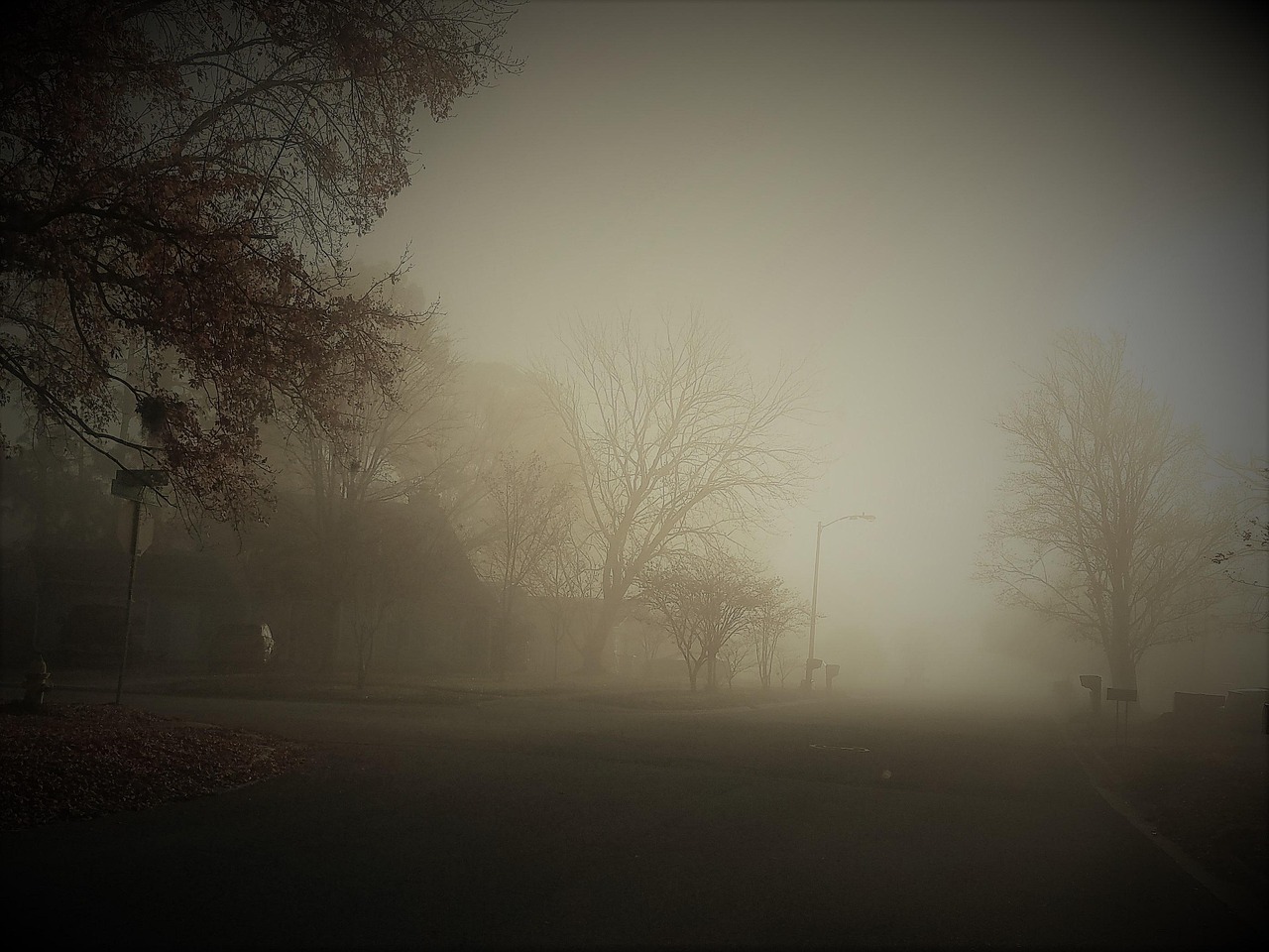 Brouillard Brumeux Photo Gratuite Sur Pixabay Pixabay
