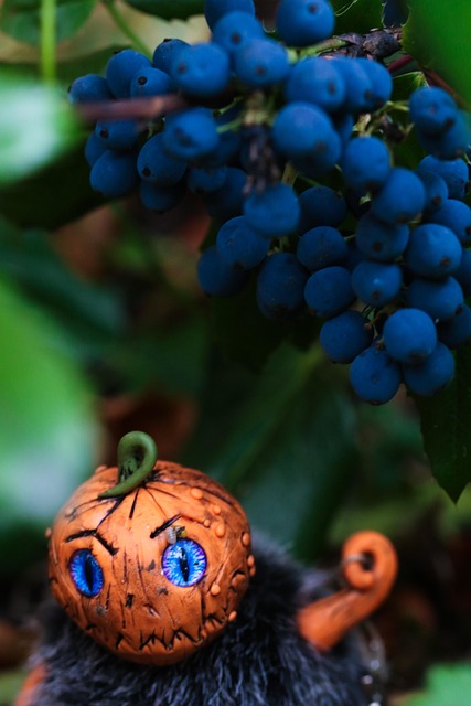 Figure Halloween Berry - Free photo on Pixabay