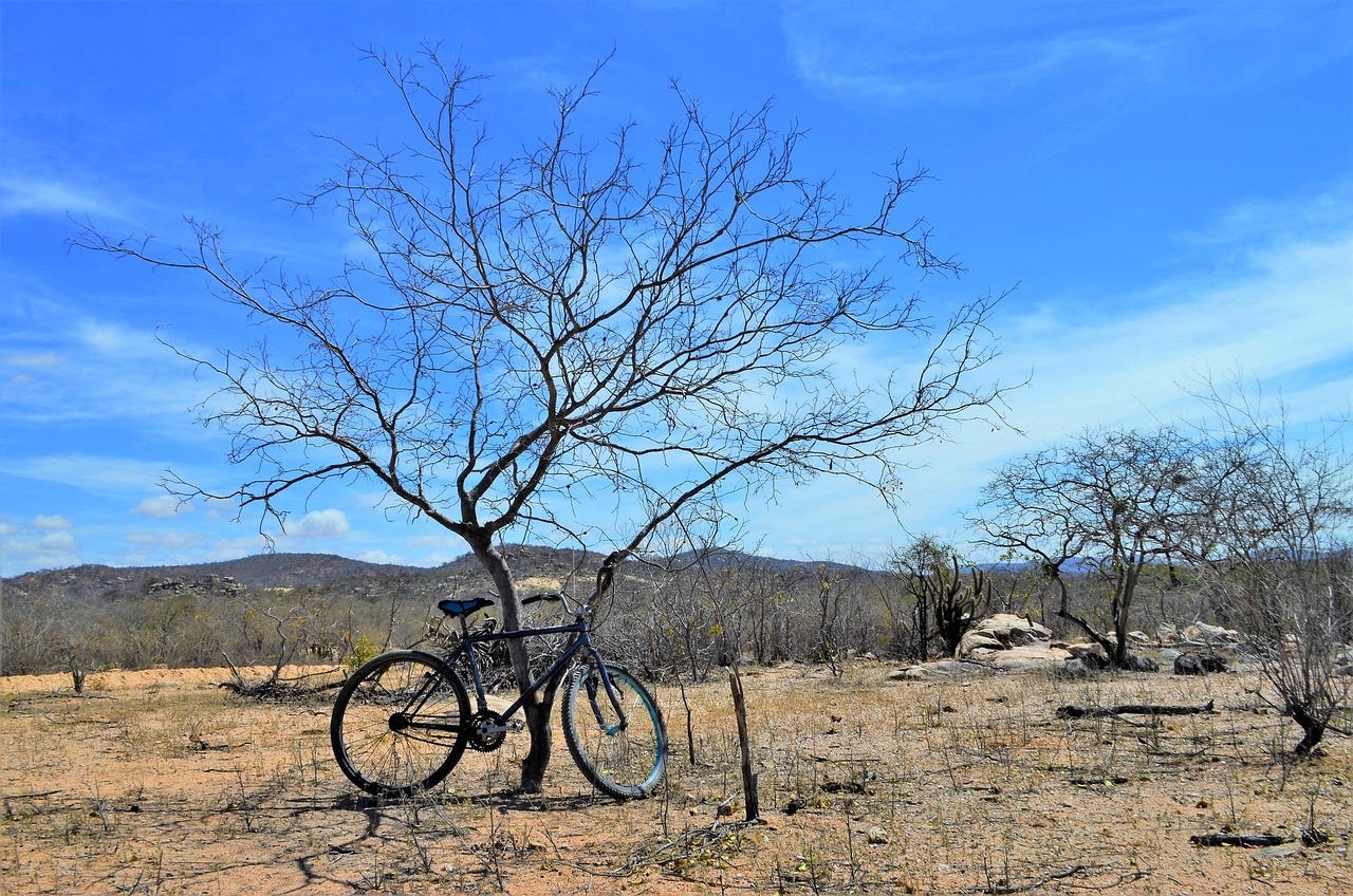 Paisagem Nordeste 16 Ideias De Paisagem Do Meu Nordeste | Nordeste