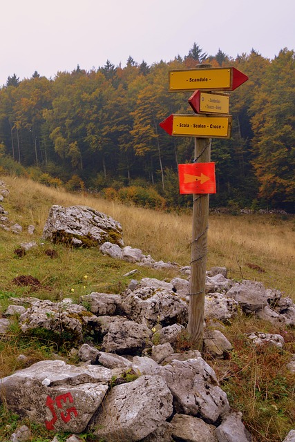 Signal Indications Excursion - Photo gratuite sur Pixabay - Pixabay
