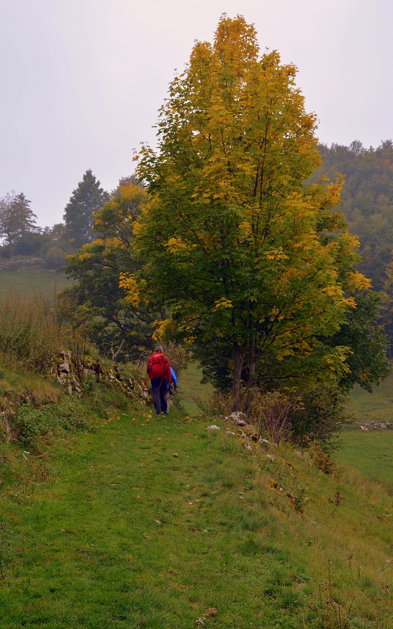 Excursion Autumn Trail - Free photo on Pixabay