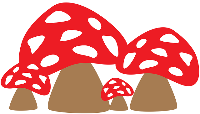 Pilz Pilze Pilzbaum - Kostenloses Bild auf Pixabay - Pixabay