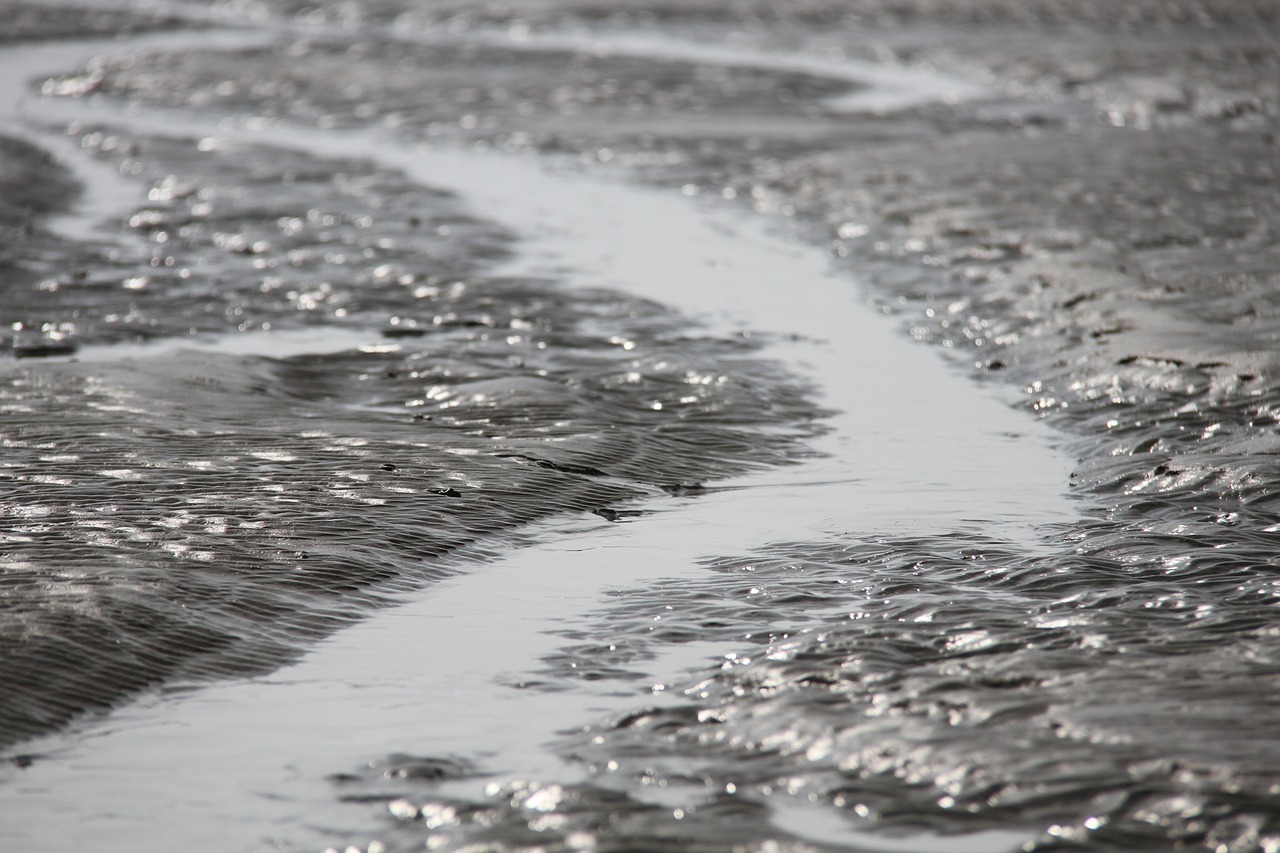 Wadden Sea Ebb North - Free photo on Pixabay - Pixabay