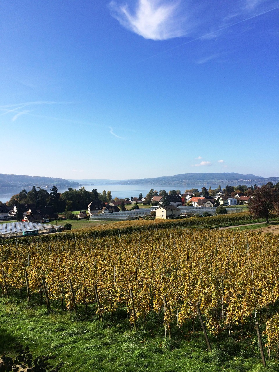 Insel Reichenau Bodensee Ausblick - Kostenloses Foto auf Pixabay - Pixabay