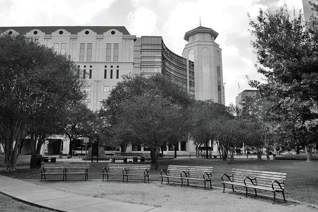Herman Park Houston Texas Benches - Free photo on Pixabay - Pixabay
