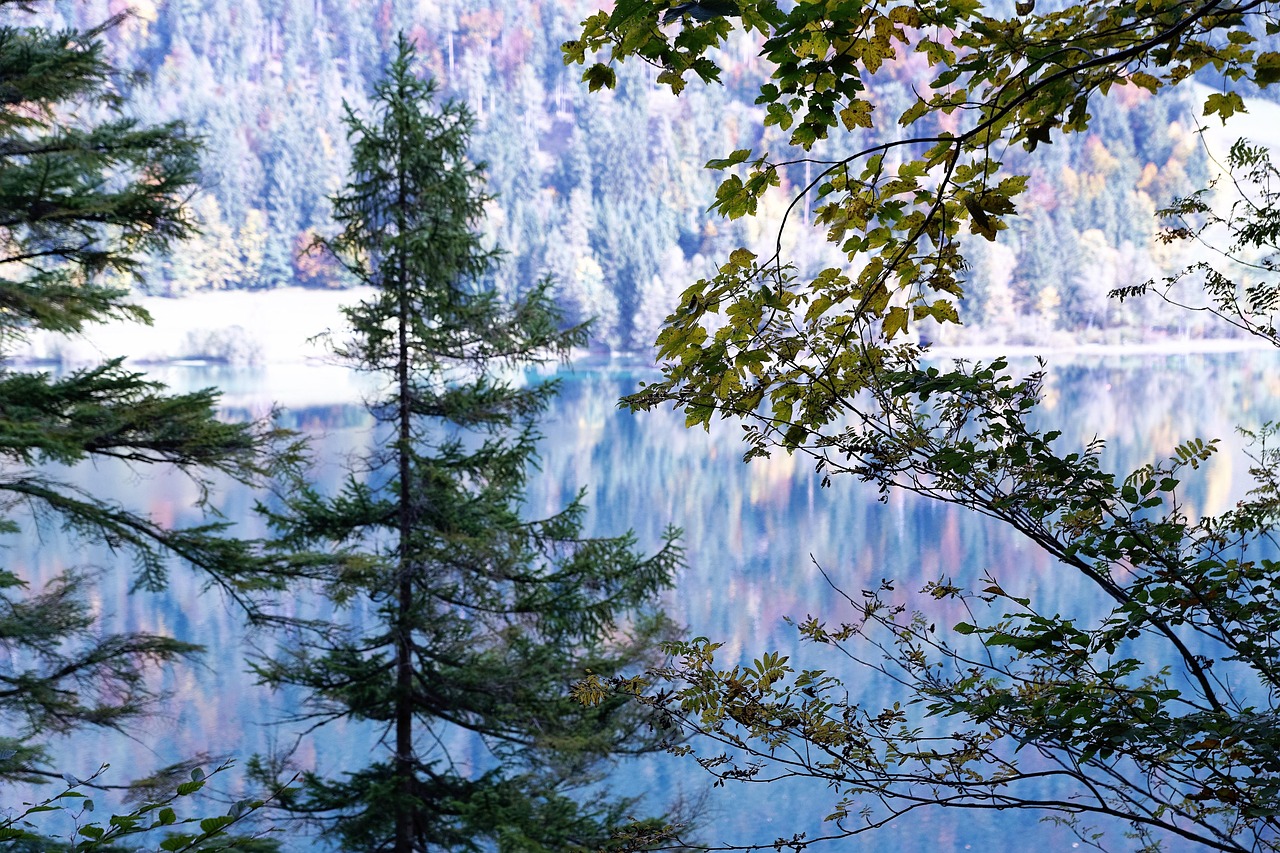 Ellmau Scheffau Austria - Free photo on Pixabay - Pixabay