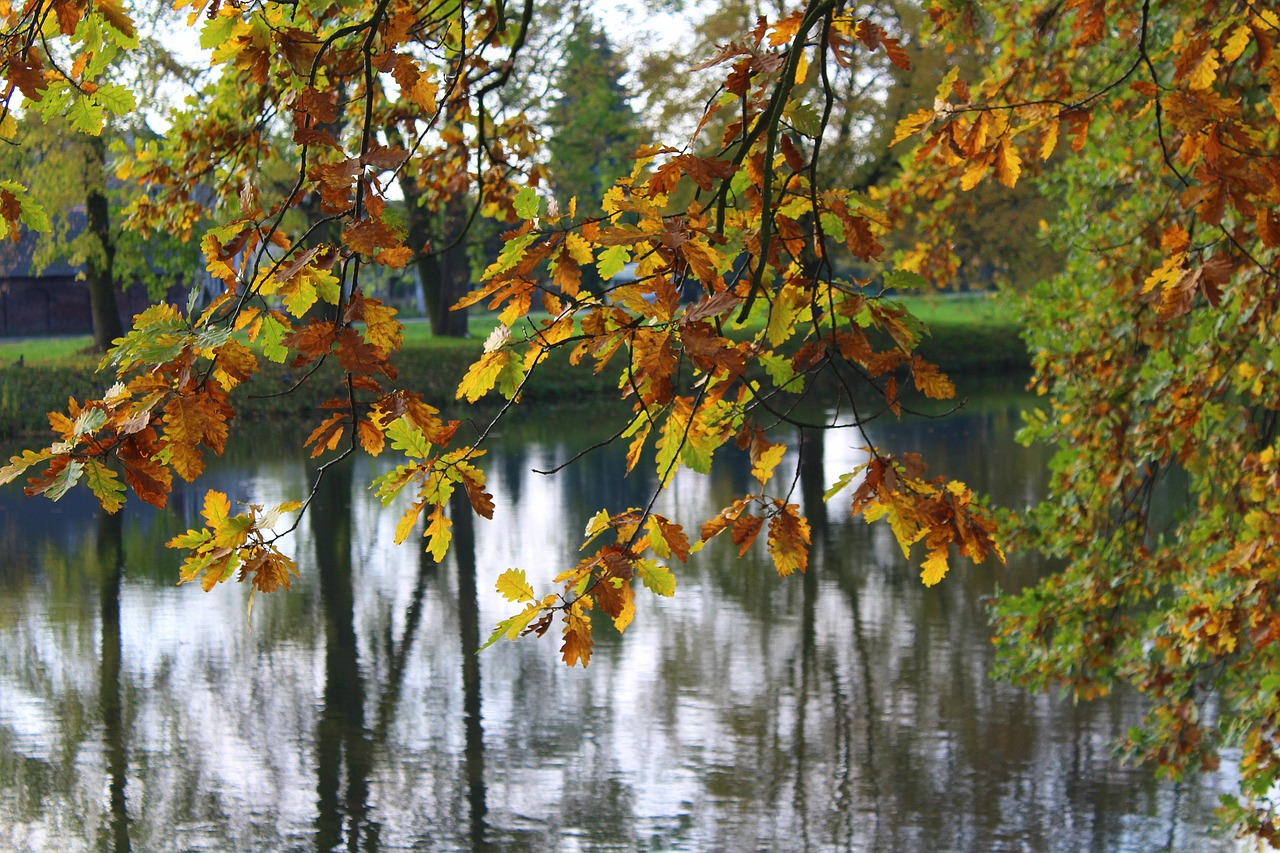 Feuilles D'Automne L'Eau Coloré - Photo gratuite sur Pixabay - Pixabay