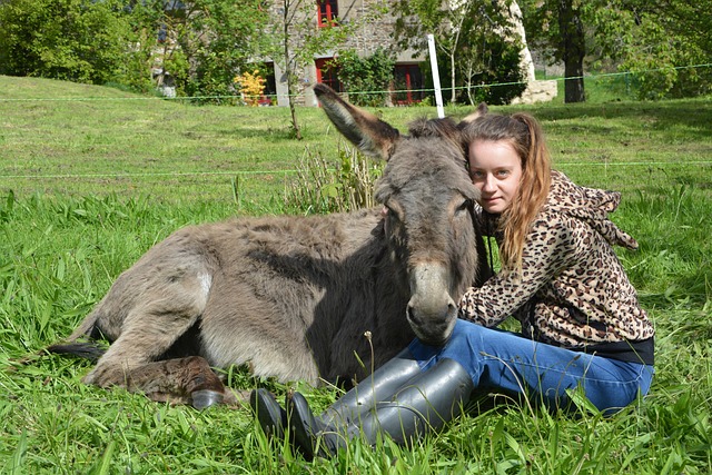 Young Lady Donkey Complicity - Free photo on Pixabay - Pixabay
