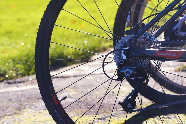 Bicicleta Ciclo - Foto gratuita no Pixabay - Pixabay
