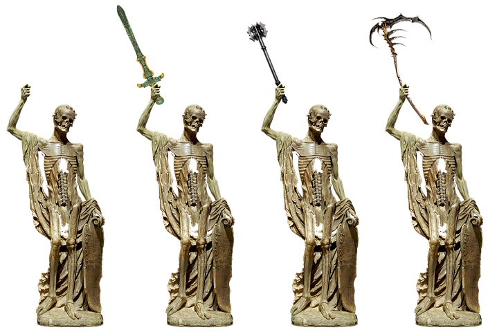 Plus de 1 000 photos gratuites de Skeleton et de Squelette