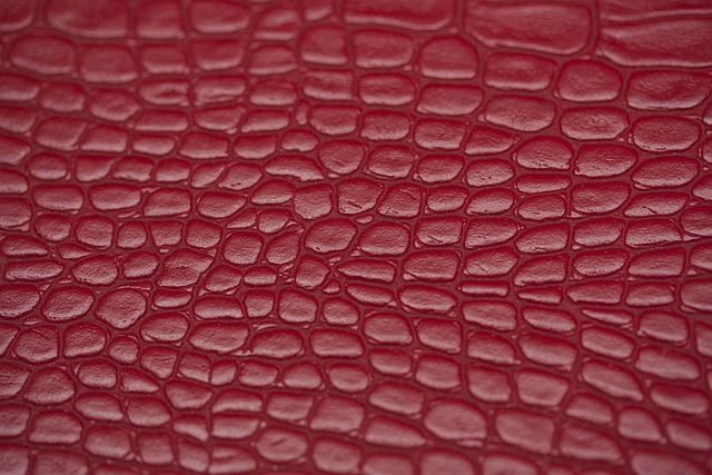 Skin Texture Fashion Red - Free photo on Pixabay