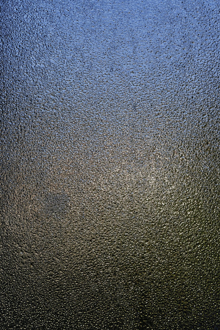 200+ Free Condensation & Nature Images - Pixabay