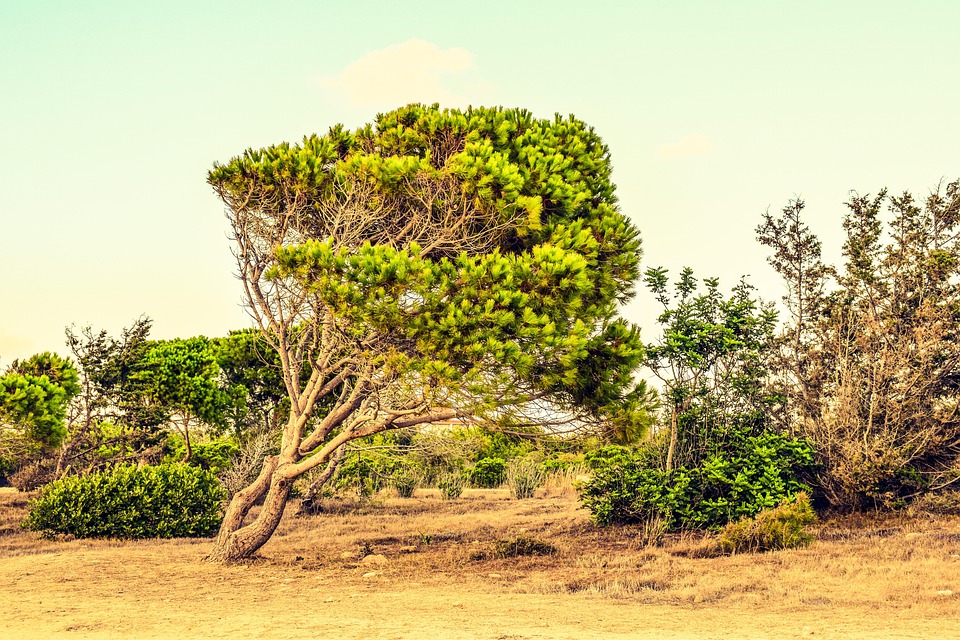 Cyprus Paphos Landscape - Free photo on Pixabay
