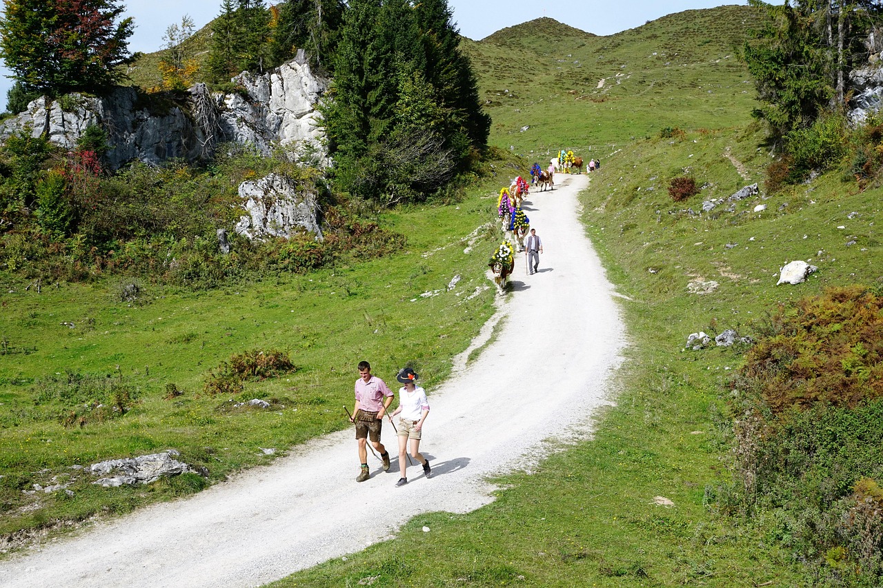 Alm Austria Wilder - Foto gratis en Pixabay - Pixabay