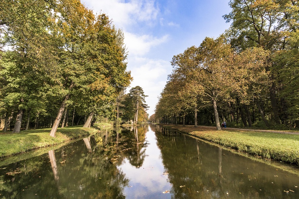 Channel Trees Nature - Free photo on Pixabay - Pixabay