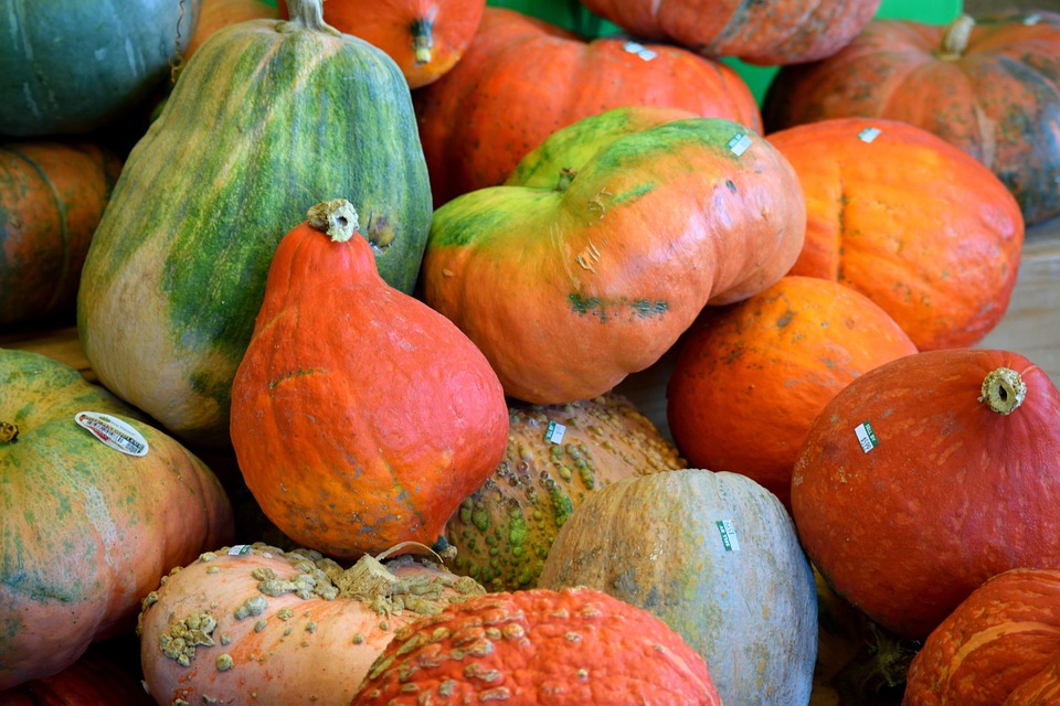 Calabazas Vegetal Comida Color - Foto gratis en Pixabay