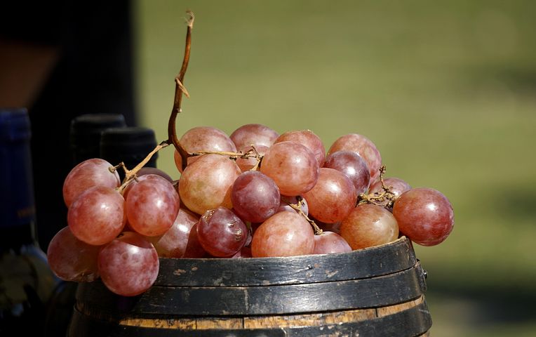 Más de 100 imágenes gratis de Racimo De Uvas y Uvas