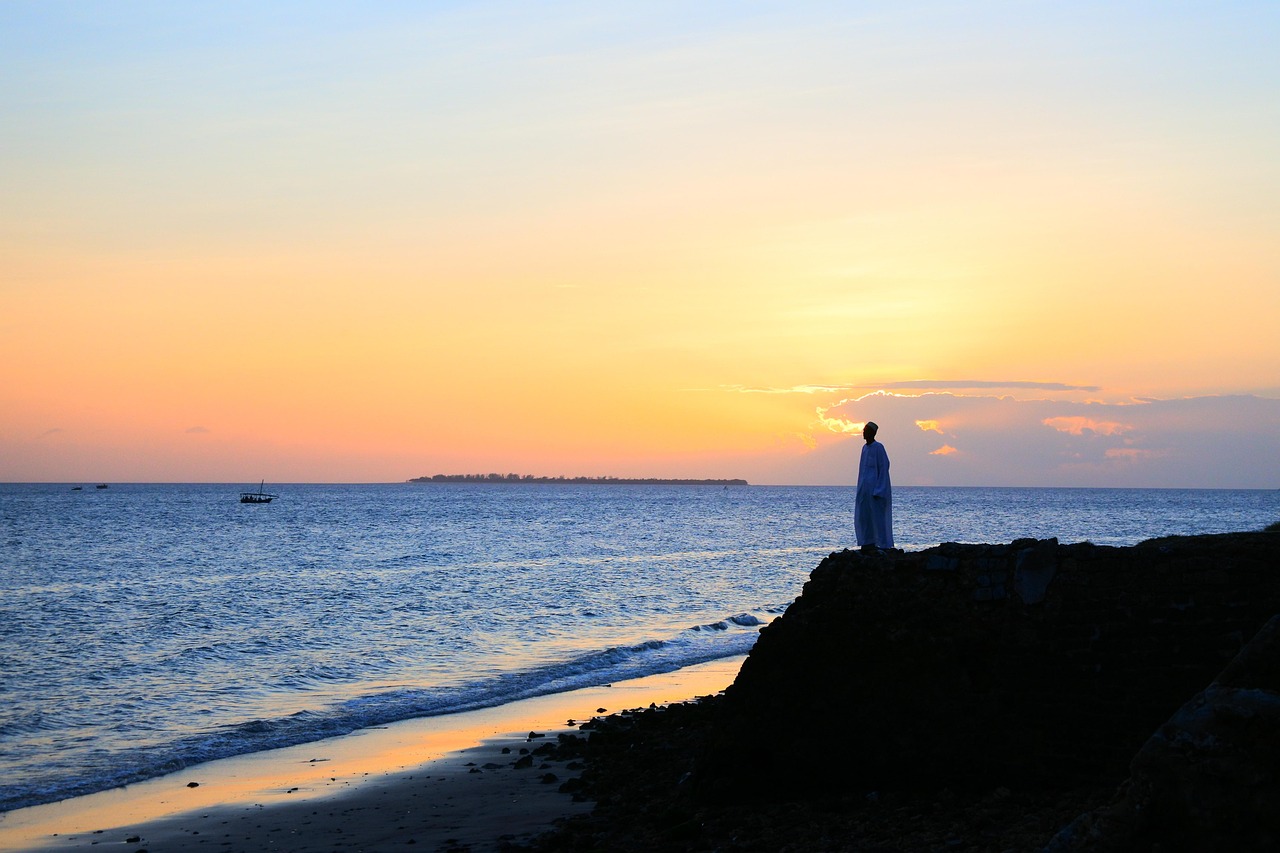 300+ Free Zanzibar & Tanzania Images - Pixabay