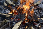 11 Burn to ashes Synonyms. Similar words for Burn to ashes.