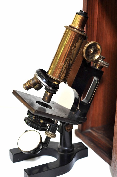 Microscope Voir Ma - Photo gratuite sur Pixabay - Pixabay