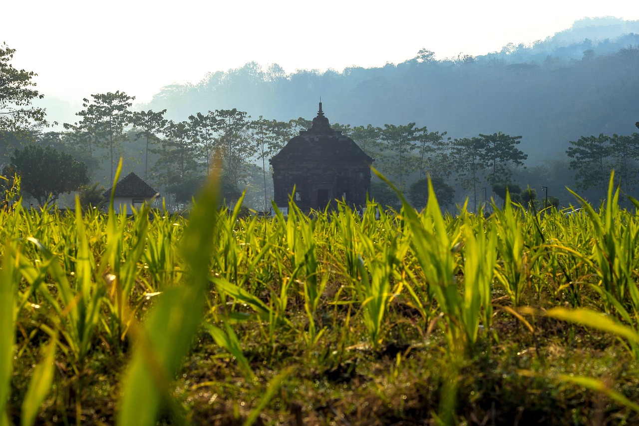 Temple Paysage L'Hindouisme - Photo gratuite sur Pixabay - Pixabay