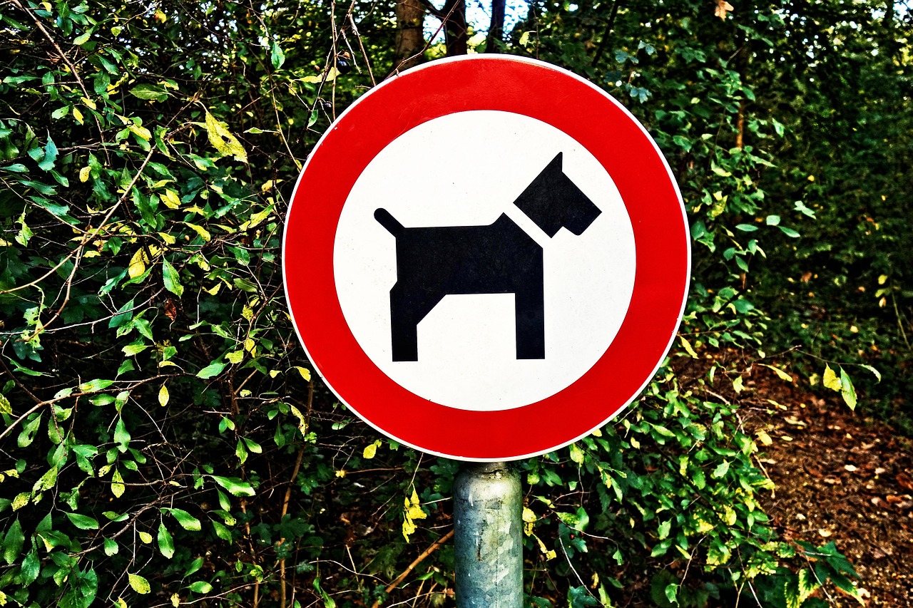 20,000+ Free Dog Sign & Dog Images - Pixabay