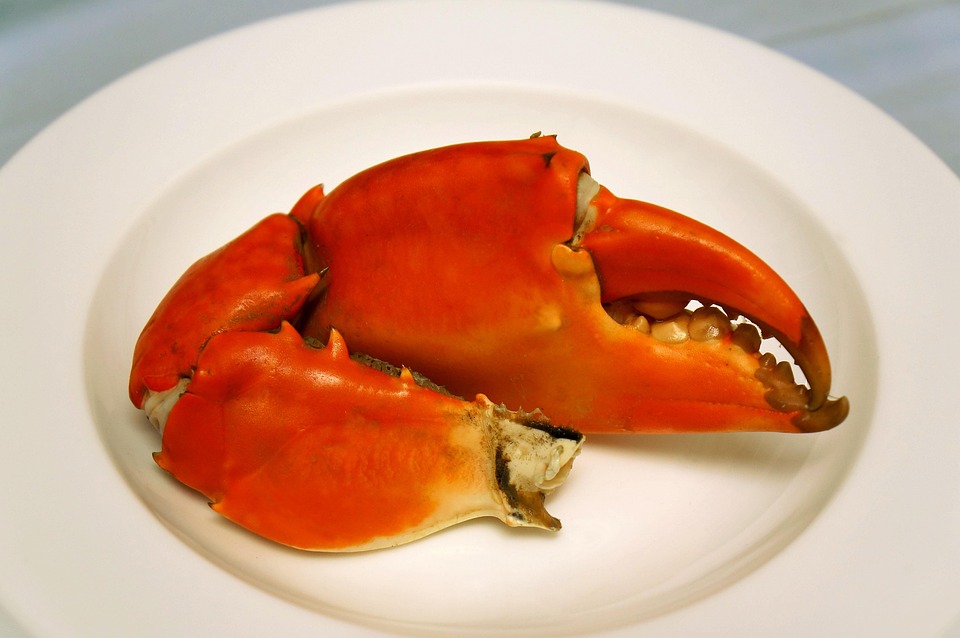 Food As Crab Ca Mau - Free photo on Pixabay