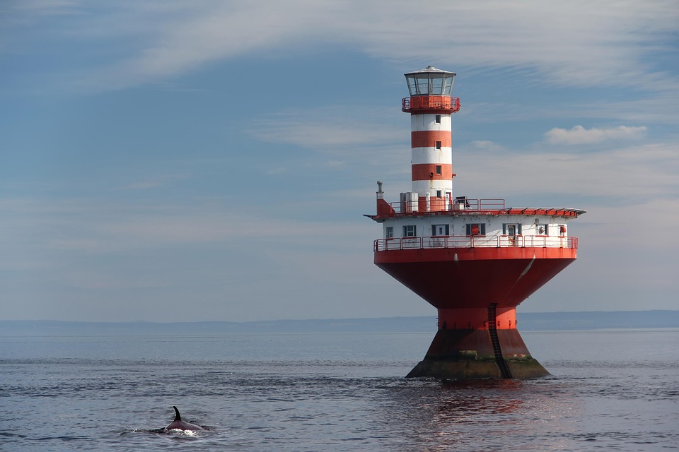 Whales From The Lighthouse In - Free photo on Pixabay - Pixabay