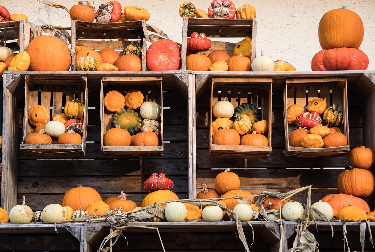 Pumpkin Fall Pumpkins - Free photo on Pixabay - Pixabay