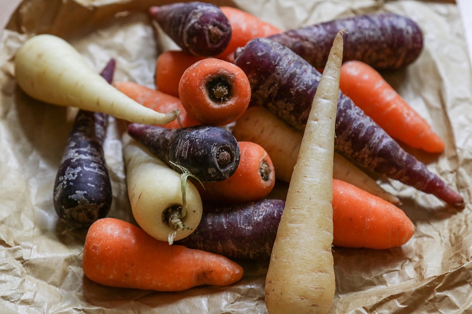 Carrot Colorful Colourful - Free photo on Pixabay - Pixabay