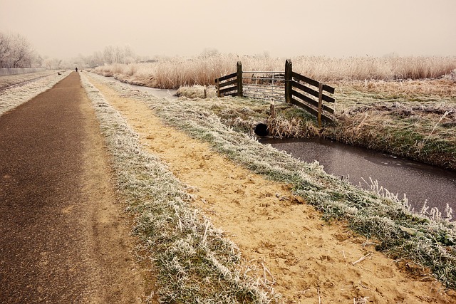 Country Road Waterway - Free photo on Pixabay