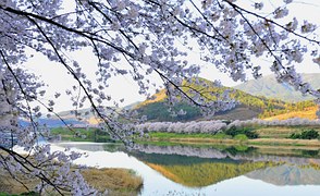 Seomjin River Icing The Island - Free photo on Pixabay