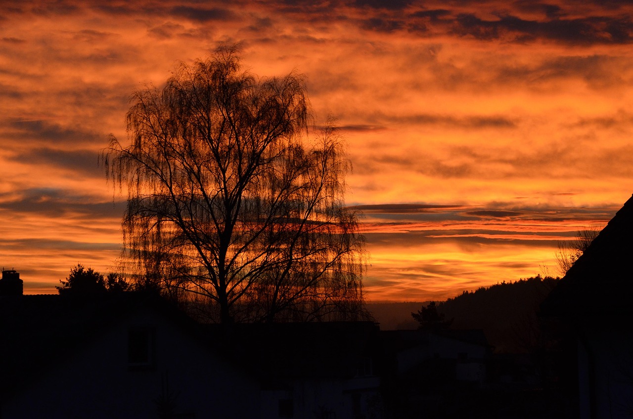 Otoño Atardecer De Oro - Foto gratis en Pixabay - Pixabay