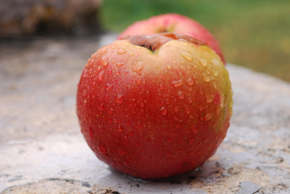 Pomme Photo - Photo gratuite sur Pixabay - Pixabay