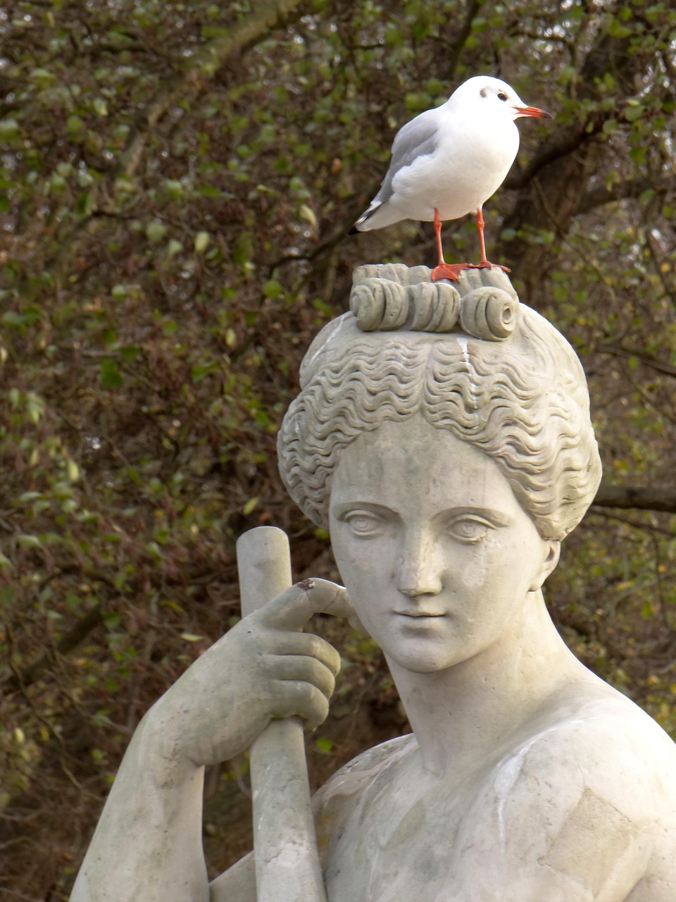 Vistula - The Allegory Of - Free photo on Pixabay - Pixabay