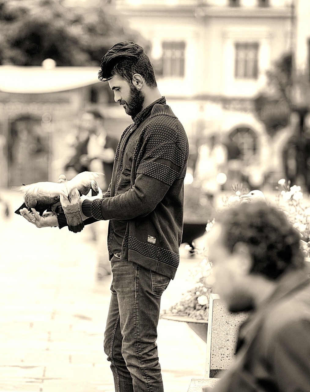 30+ Free Pigeon Man & Man Images - Pixabay